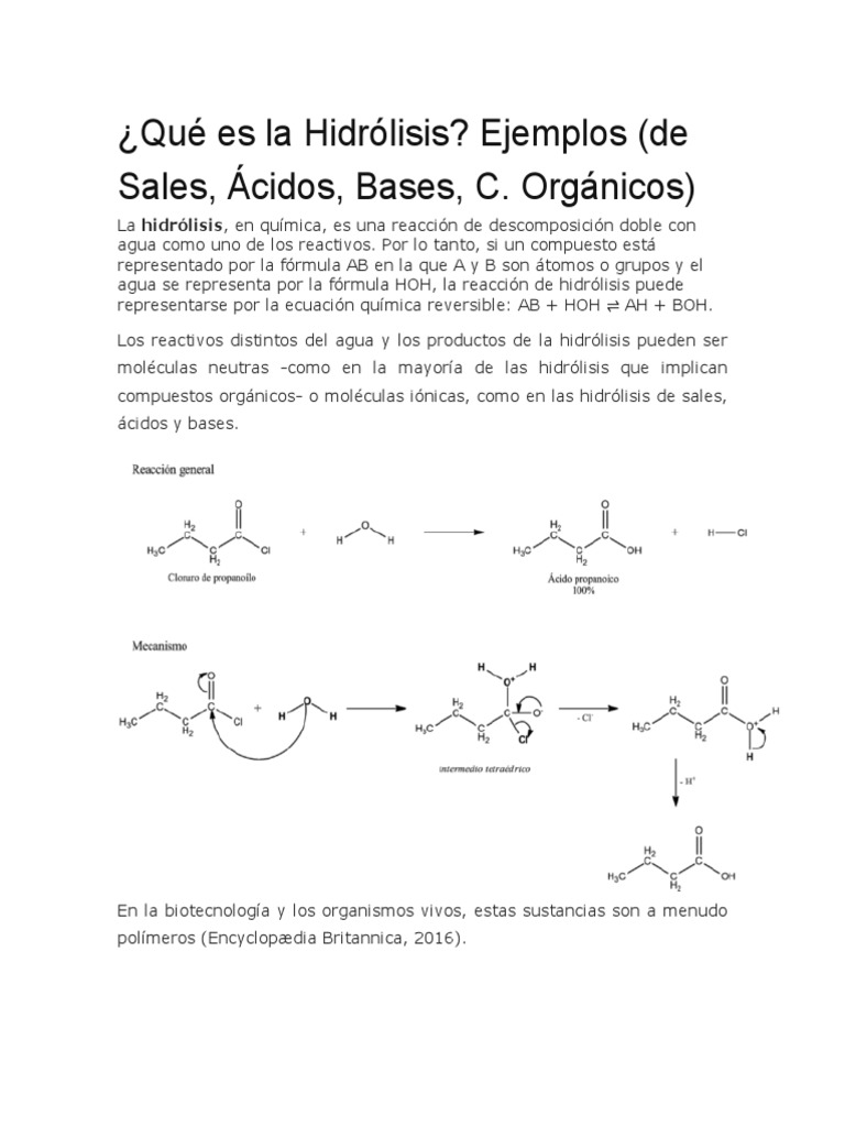 Hidrólisis: Definición y Ejemplos | PDF | Hidrólisis | Sal (química)