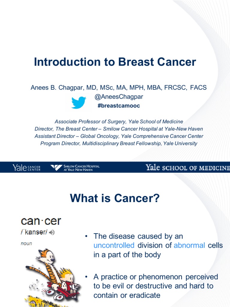 An Introduction To Breast Cancer | PDF | Breast Cancer | Cancer