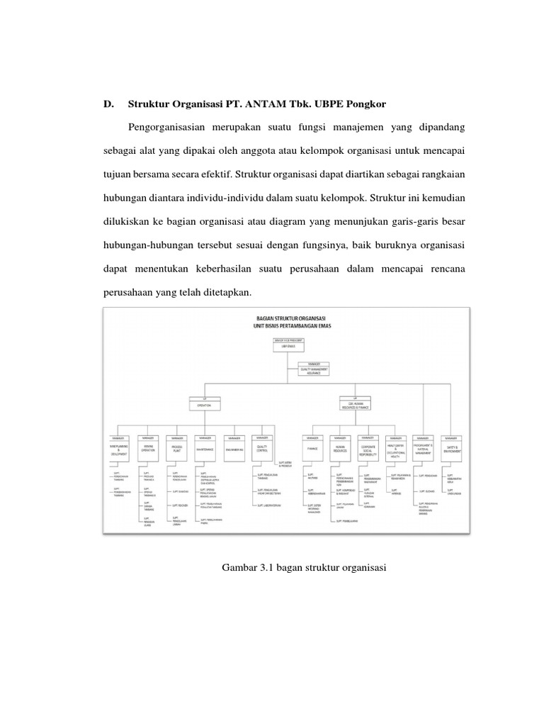 Struktur Organisasi PT. ANTAM Tbk. 2023 | PDF