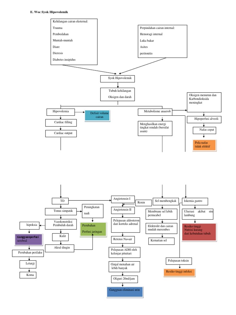 Woc Syok Hipovolemik | PDF