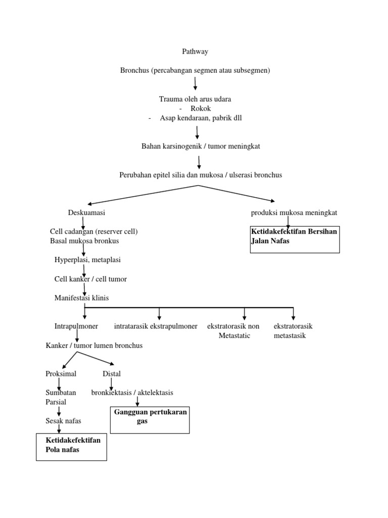Pathway Tumor Paru | PDF