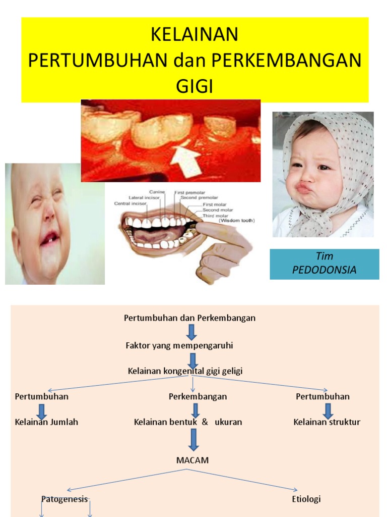 Kelainan Bentuk Gigi Pada Pertumbuhan Dan Perkembangan | PDF | Seni ...