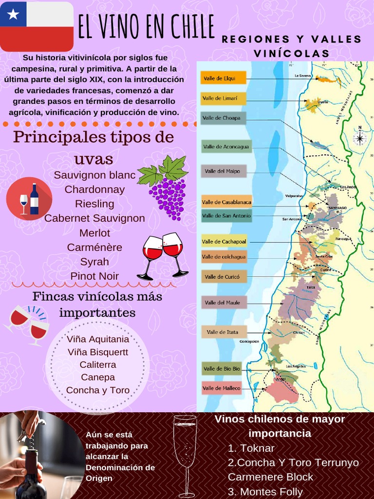 Infografía Chile | PDF