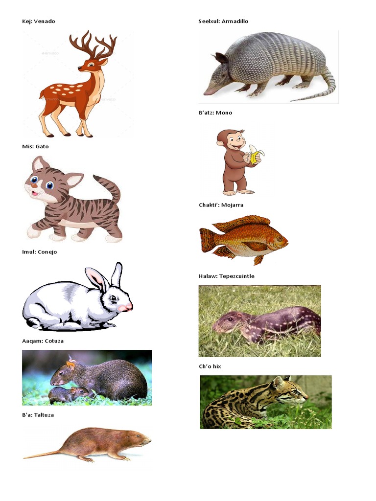 Animales en Qeqchi | PDF