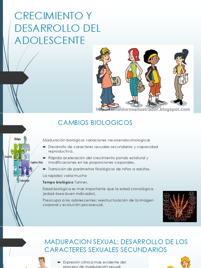 Desarrollo Adolescente | PDF | Pubertad | Adolescencia