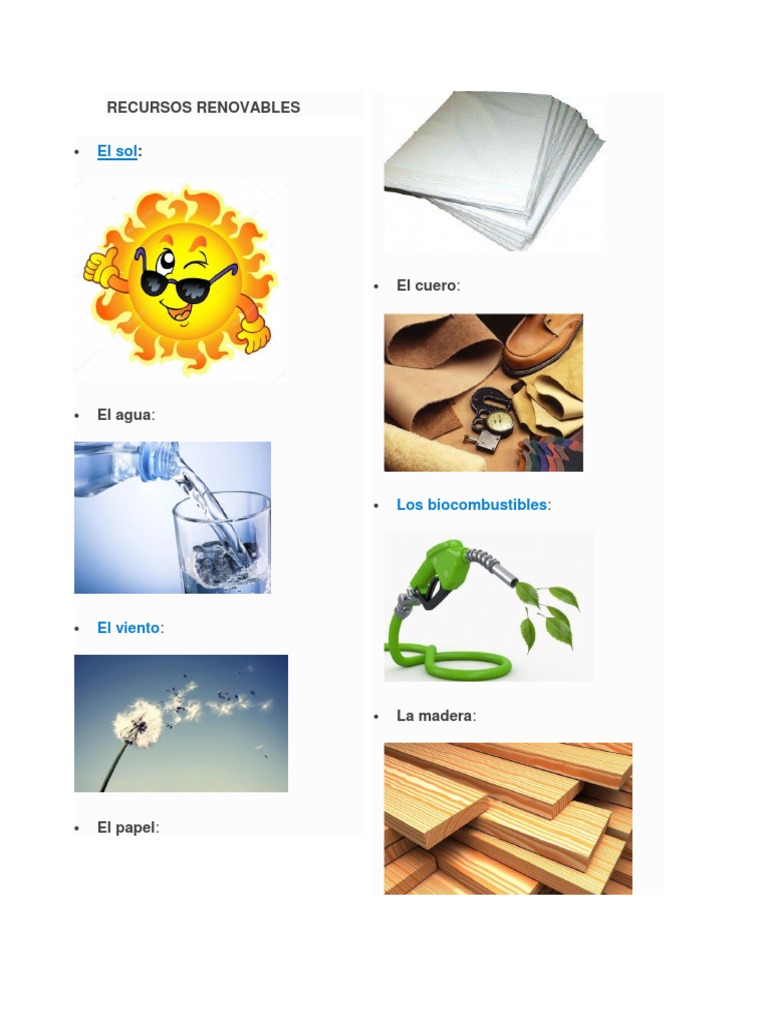 RECURSOS RENOVABLES y NO RENOVABLES | PDF