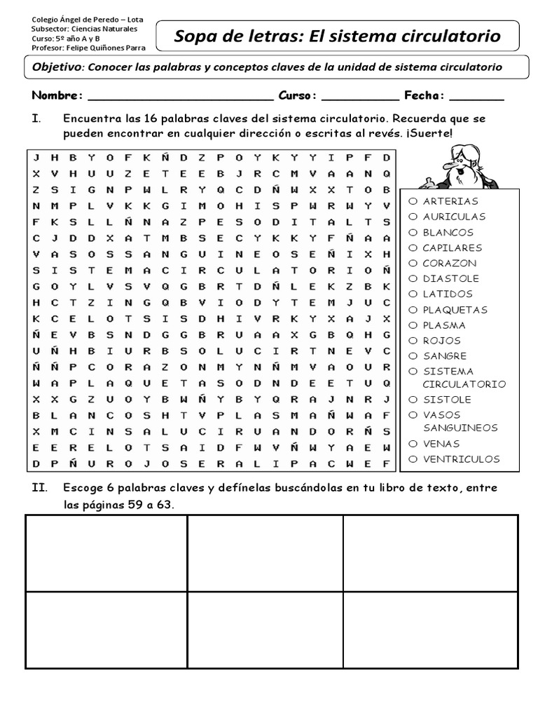 Guía 5º Año Sopa Sistema Circulatorio