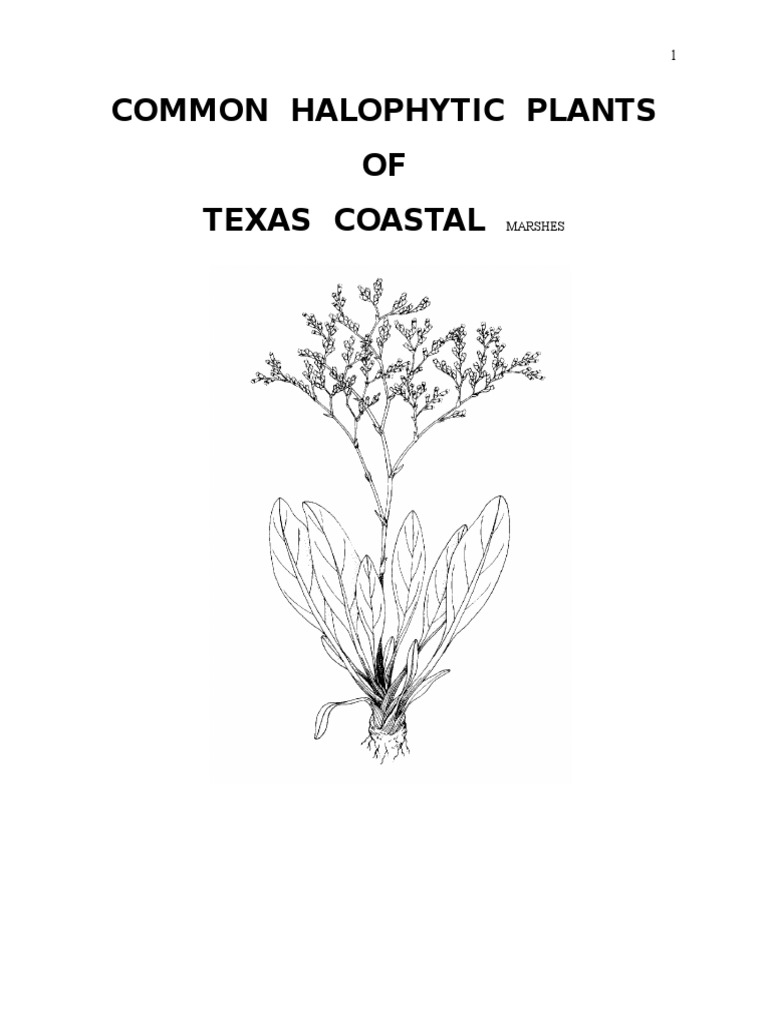 Halophyte Guide | PDF | Organisms | Branches Of Botany