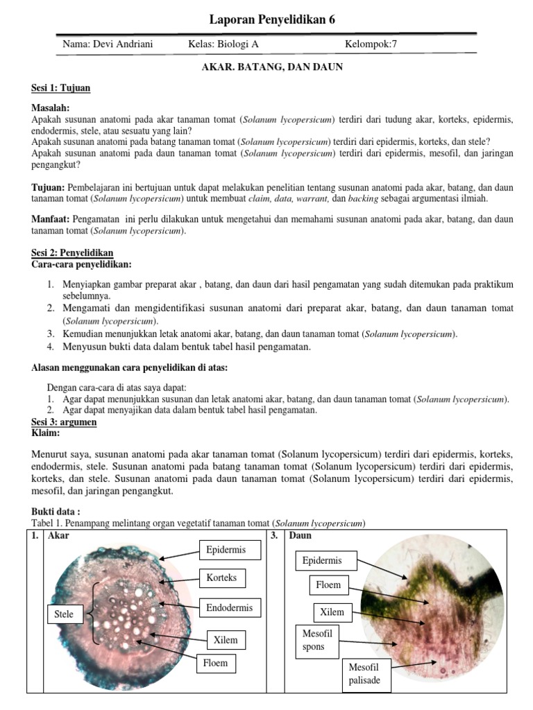 7 B 1413024023 Devi Andriani Akar, Batang, Daun FIX | PDF