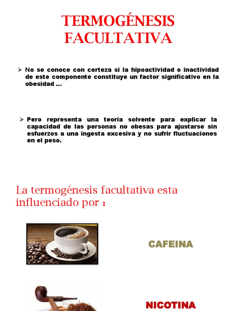 Termogénesis Facultativa- Parte 6