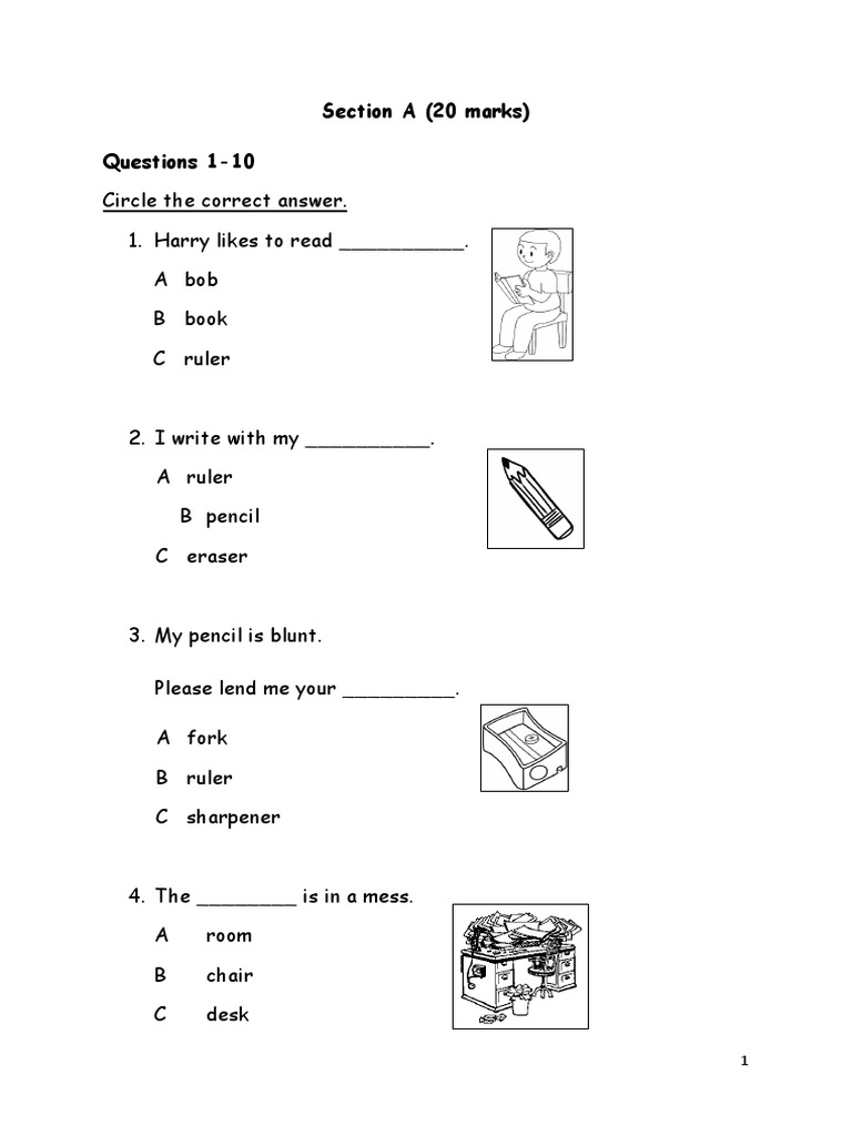Year 1 Paper 1 Mac | PDF