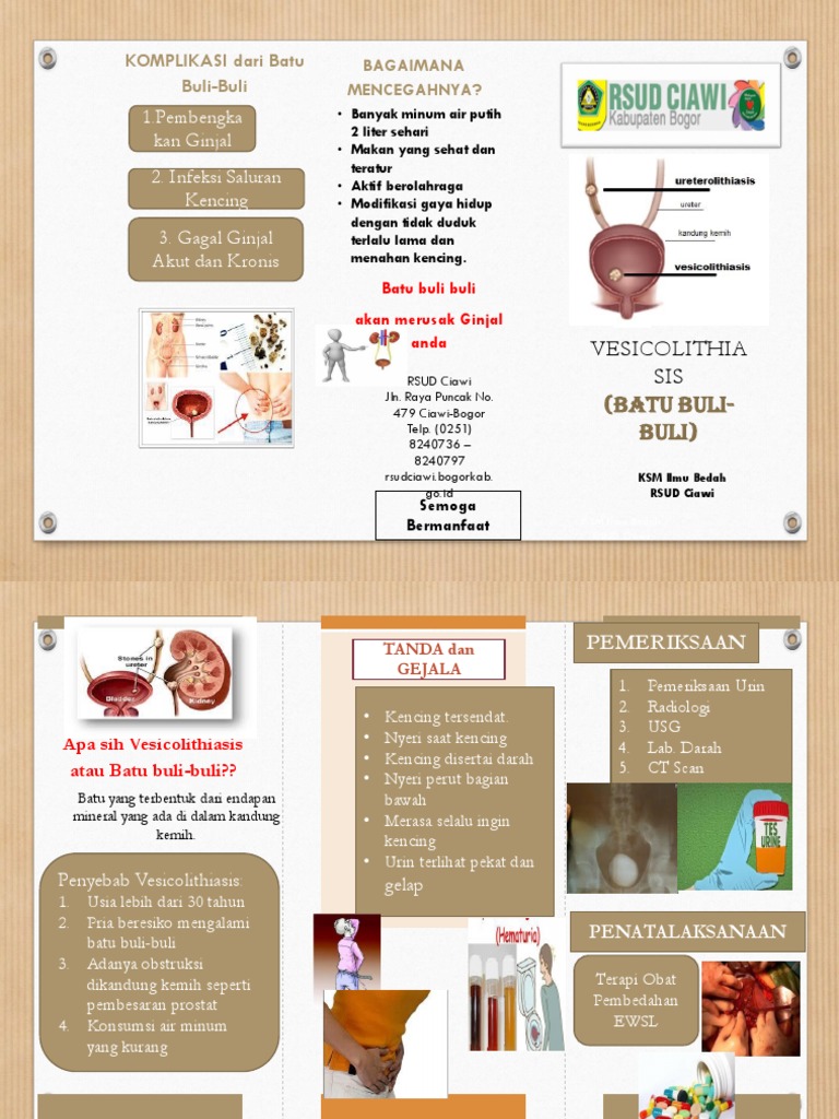 Leaflet Vesikolithiasis | PDF
