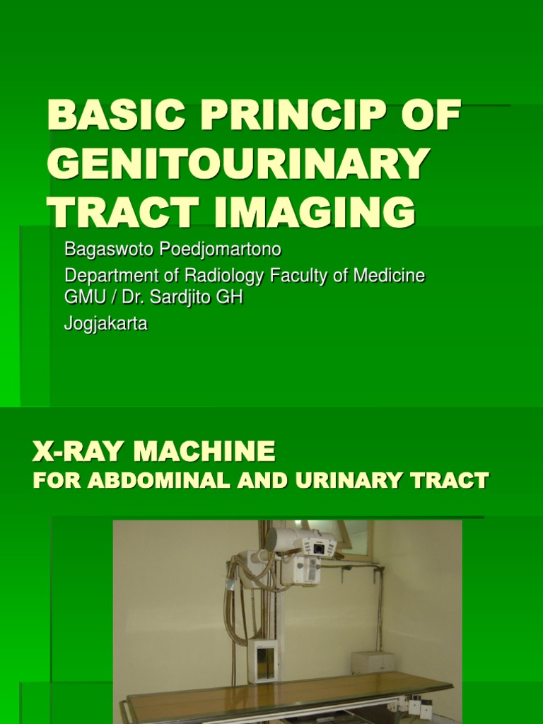 Basic Princip of Urinary Tract Imaging | PDF | Uterus | Human Anatomy