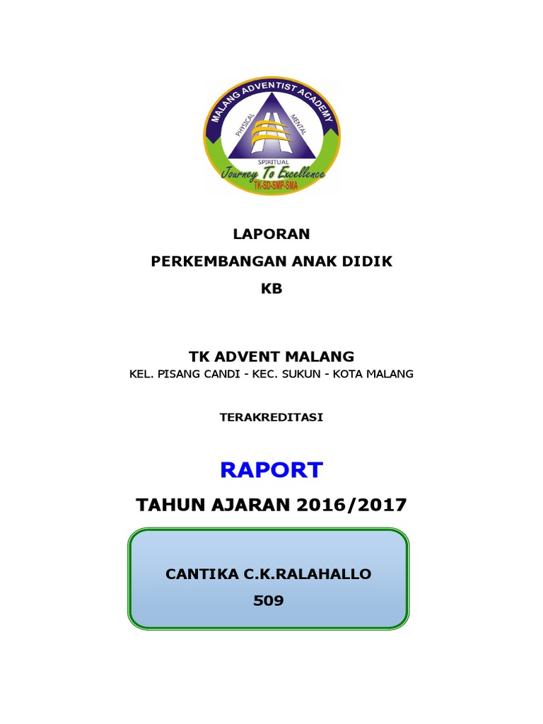 Cover Raport Paud TK B | PDF