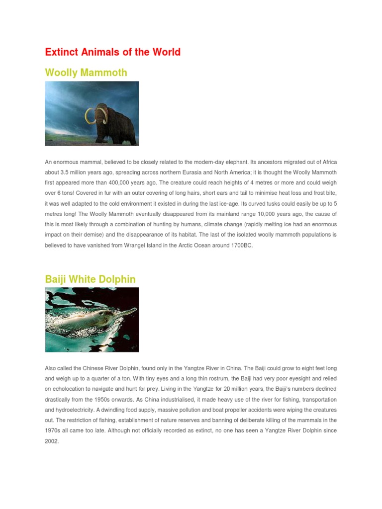 Woolly Mammoth: Extinct Animals of The World | PDF