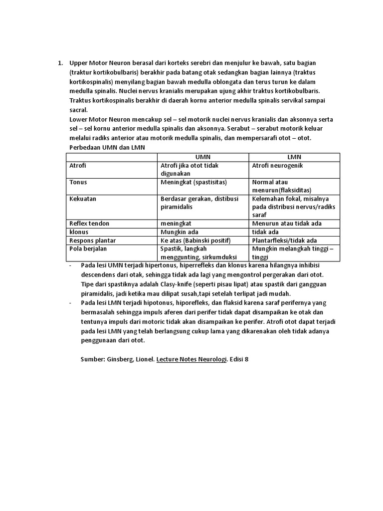 Perbedaan UMN Dan LMN | PDF