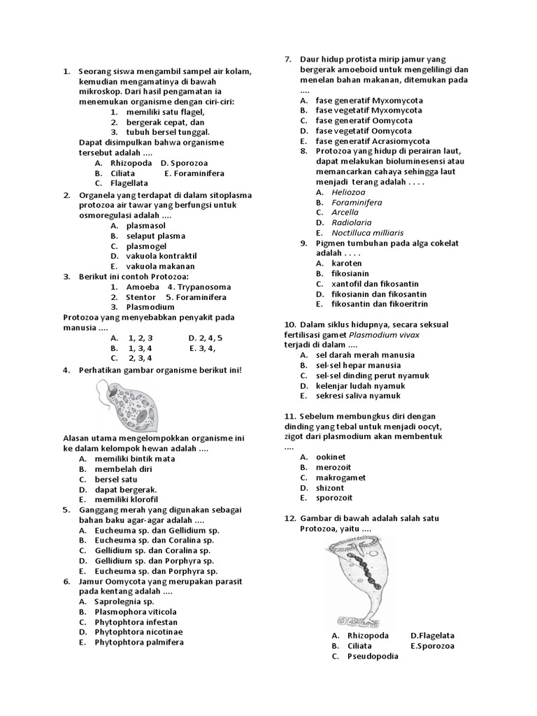 Latihan Soal Protista | PDF