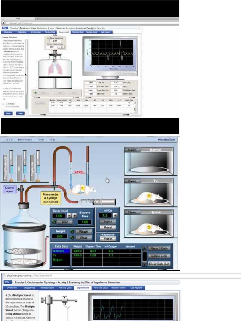 PhysioEx Exercise 5 | PDF | Heart Rate | Heart