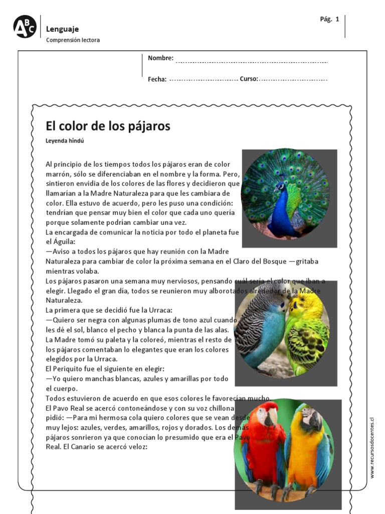 El Color de Los Pajaros | Color | Aves