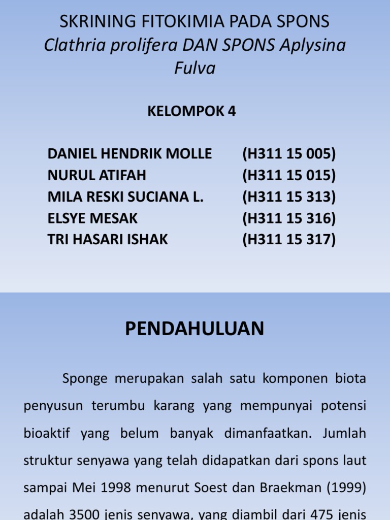 Skrining Fitokimia Pada Spons Clathria Prolifera Dan Spons | PDF