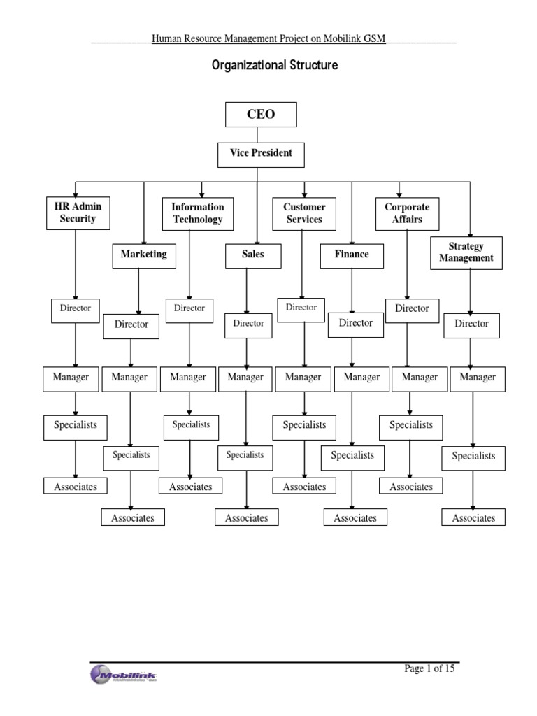 Organizational Structure: Vice President | PDF | Employment | Salary