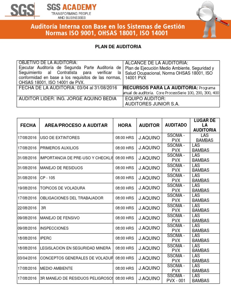 Plan de auditoría de seguridad, salud ocupacional y medio ambiente en mina de PVX | PDF | La ...