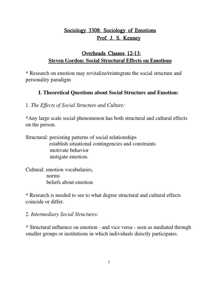 Social Structure's Impact on Emotions | PDF | Socialization | Norm (Social)