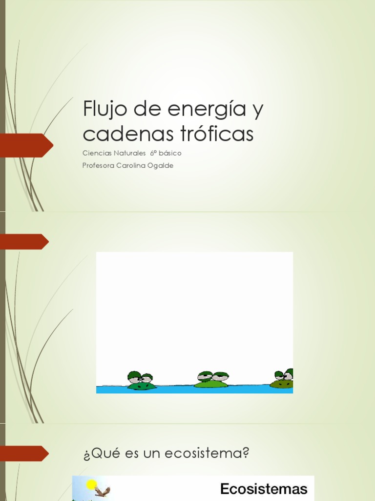Flujo de Energía y Cadenas Tróficas | PDF | Ciencia y matemáticas