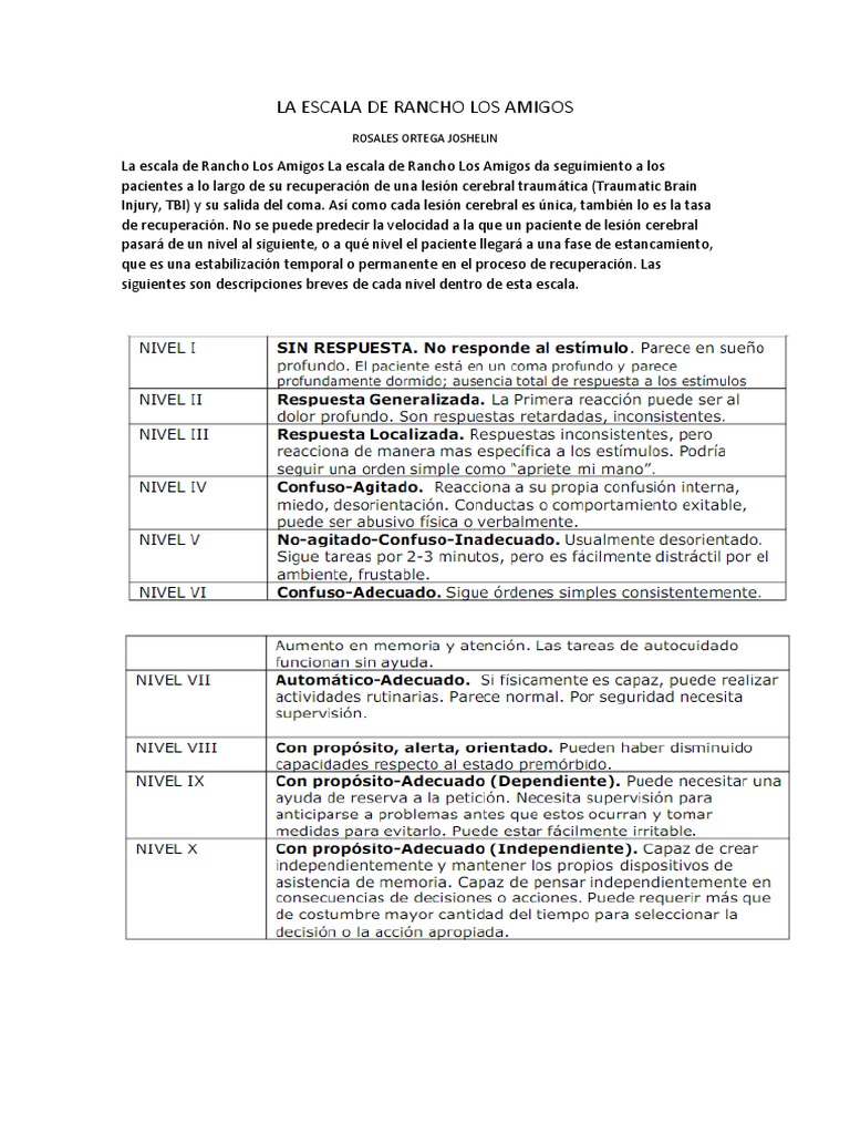 La Escala de Rancho Los Amigos | Habilidades sociales | Depresión ...
