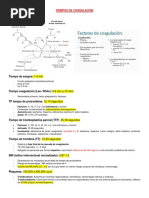 Transiluminación en Diagnóstico Dental | PDF | Odontología | Ligero