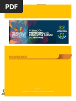 Contrato de Reaseguro y Cesion de Cartera. Expo | PDF | Póliza de seguros | Reaseguro