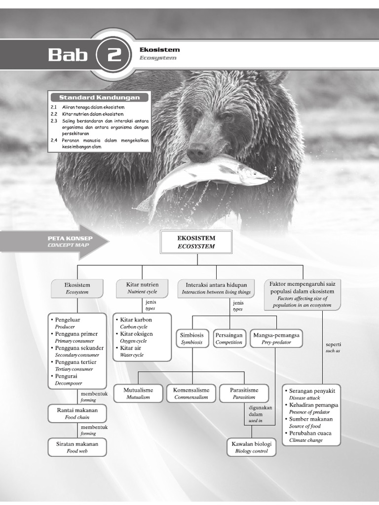06 Bab 2 Ekosistem | PDF