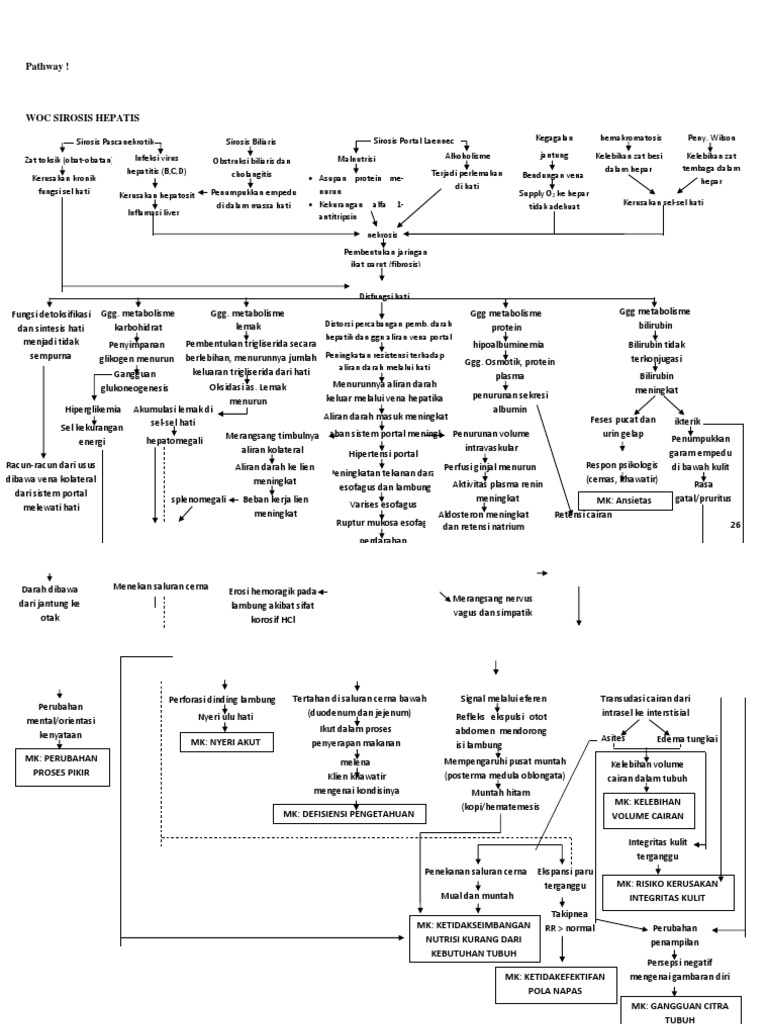 Woc Sirosis Hepatis Revisi | PDF