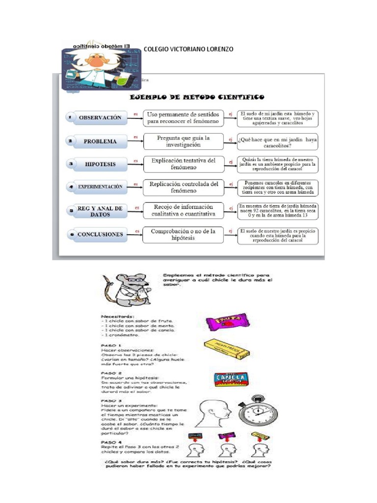 Actividades Del Metodo Cientifico | PDF