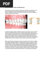 Canino Temporal Superior | PDF | Anatomia dental | Diente