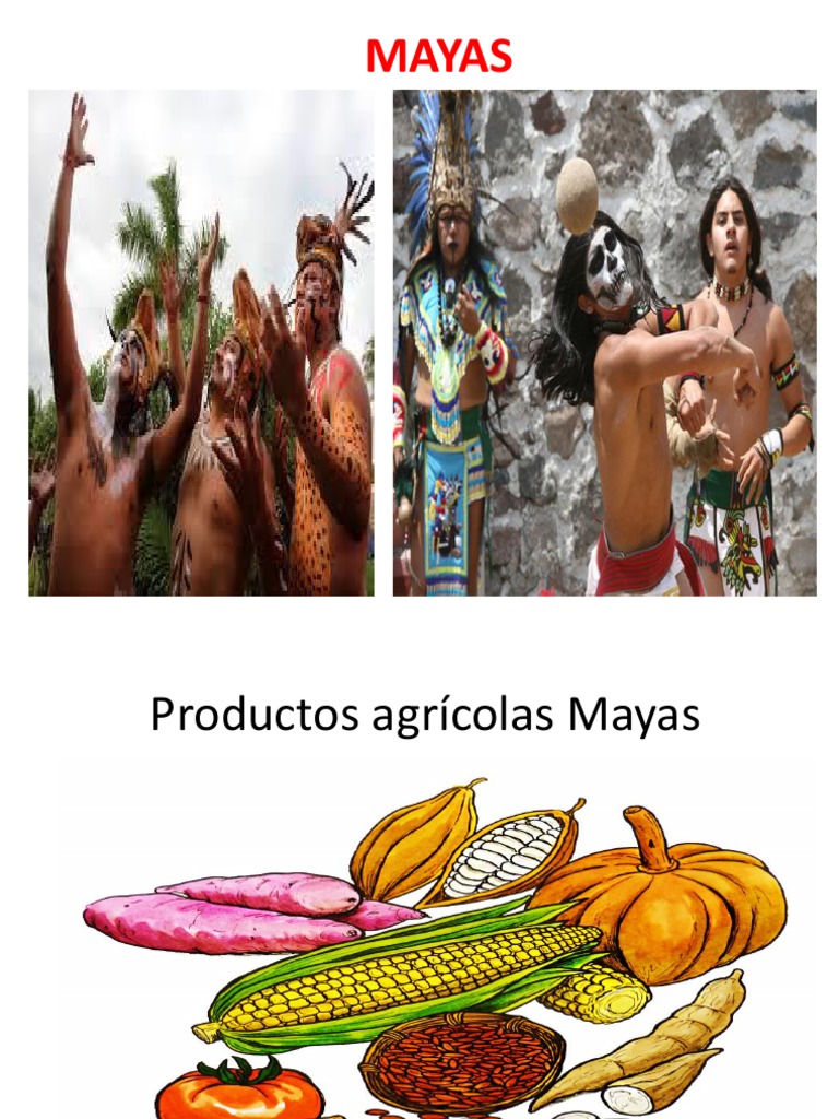 MAYAS Laminas | PDF