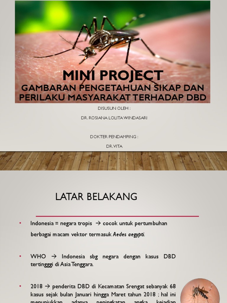 Contoh Mini Project DBD | PDF
