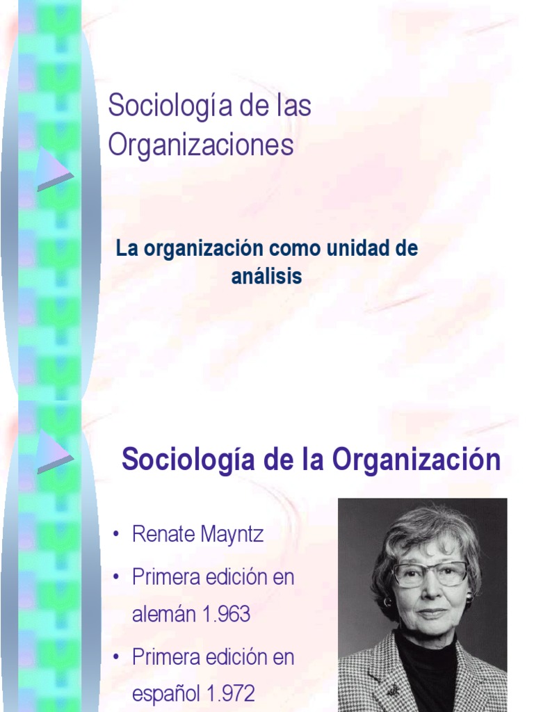 Renate Mayntz Sociología de Las Organizaciones | PDF