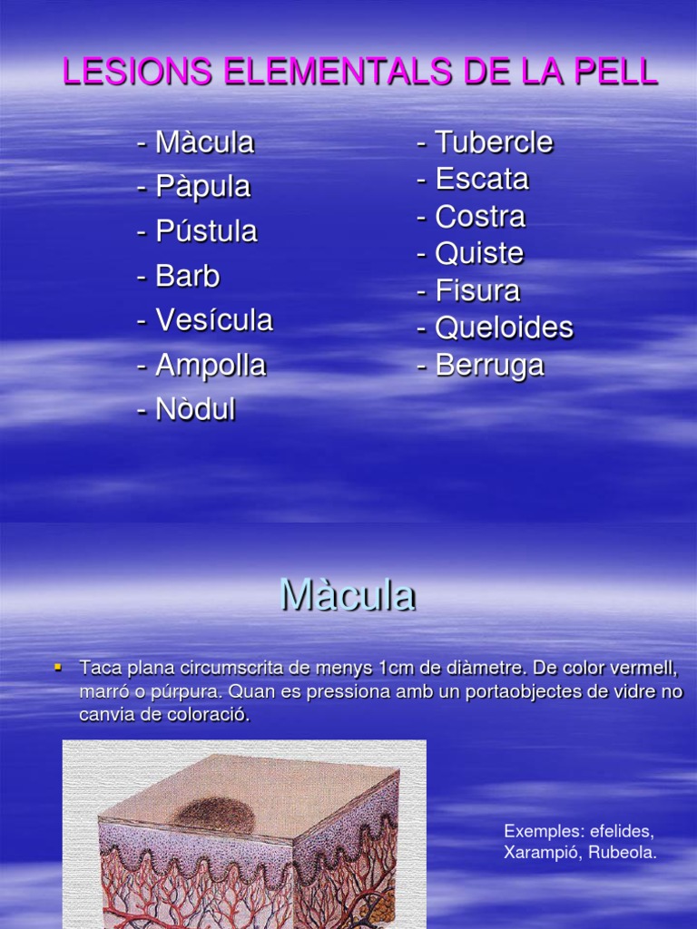 Lesions Elementals de La Pell | PDF