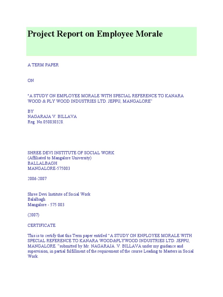Project Report On Employee Morale | PDF | Employment | Attitude ...