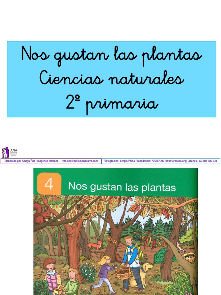 Ciencias Naturales Tema 4 Nos Gustan Las Plantas | PDF | Arboles ...