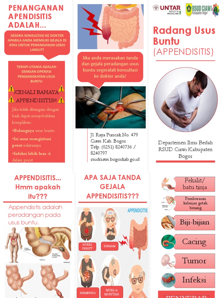 PPT Penyuluhan Radang Usus Buntu Appendisitis 2 | PDF
