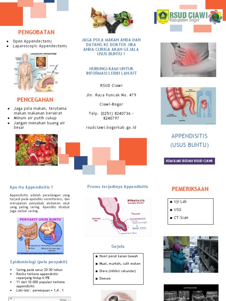 Leaflet Appendicitis | PDF