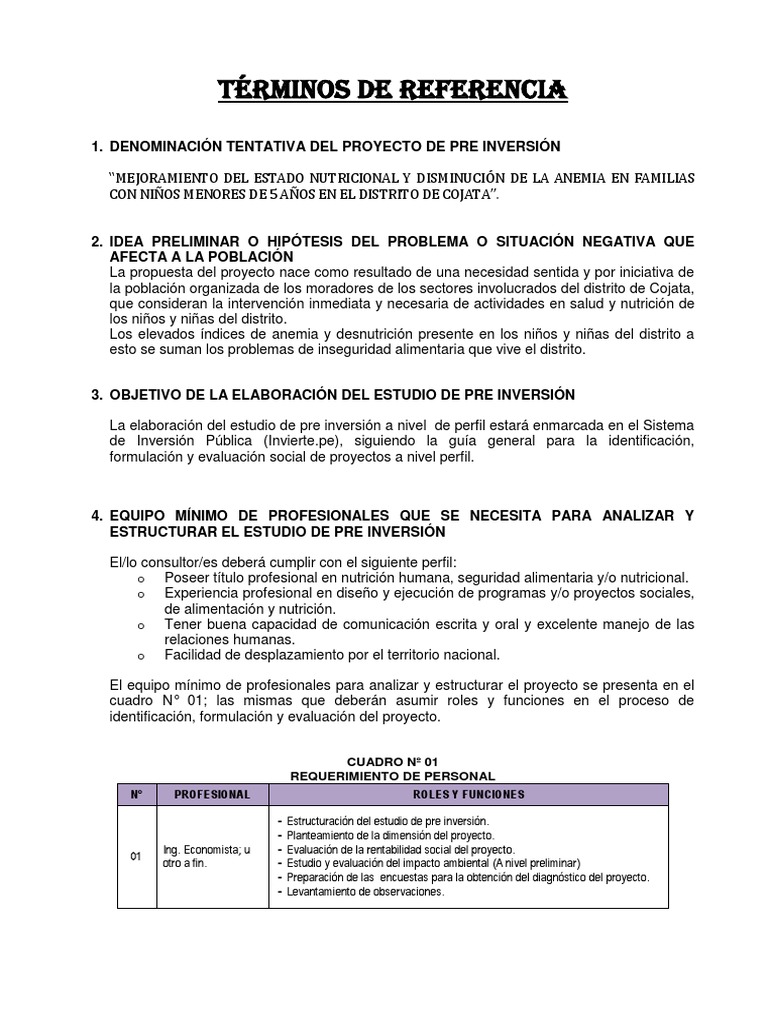 Términos de Referencia | PDF | Economista | Evaluación