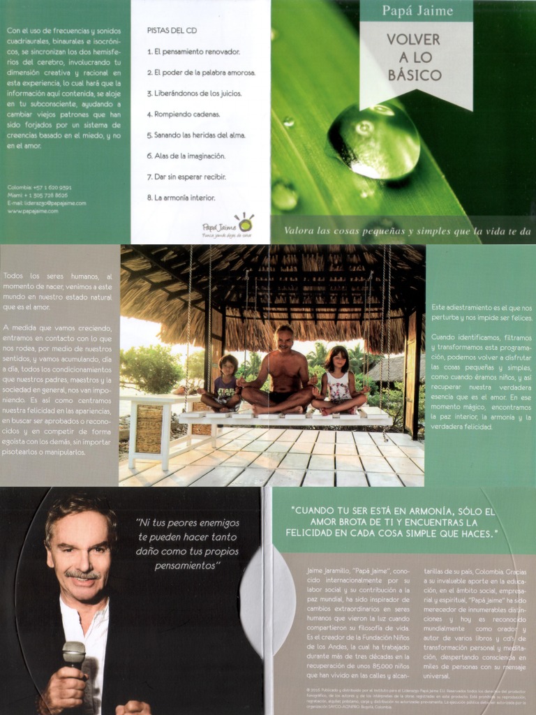 Volver A Lo Basico PDF | PDF