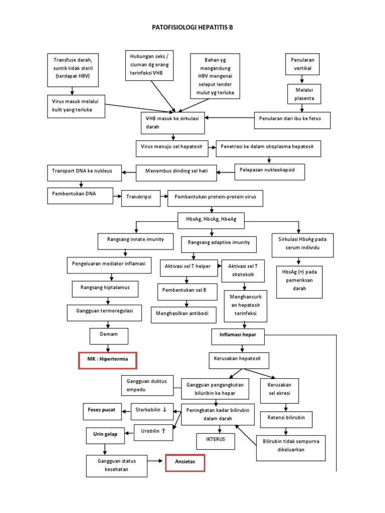 Penyebab dan Mekanisme Patofisiologi Hepatitis B | PDF