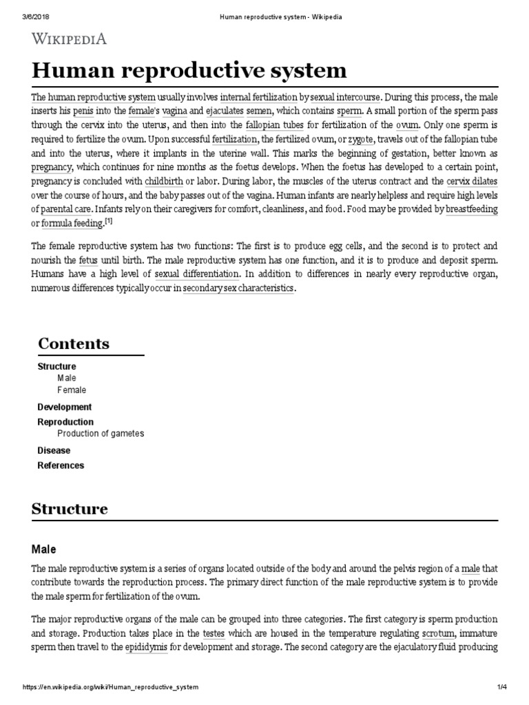 Human Reproductive System - Wikipedia PDF | PDF | Reproductive System ...