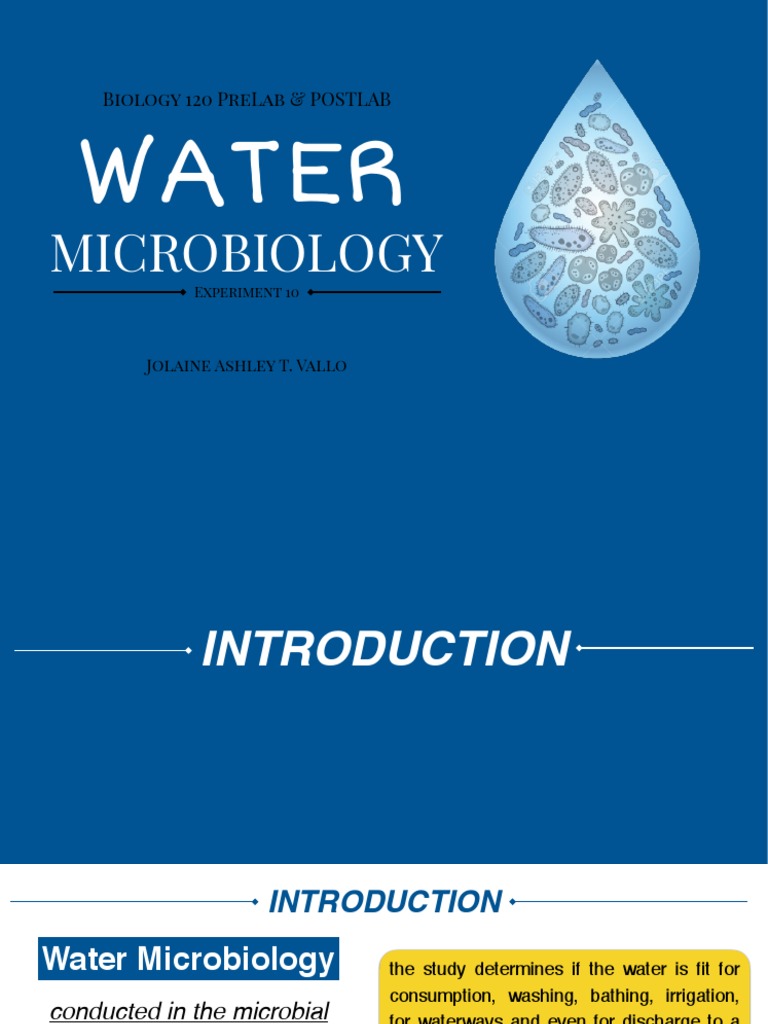 Water Microbiology | Drinking Water | Bacteria