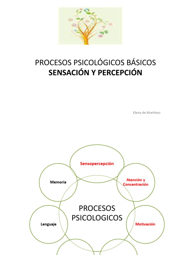 Sensopercepción | PDF | Percepción | Percepción visual