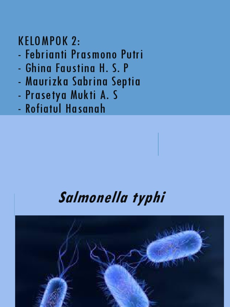 PENULARAN DAN FAKTOR RISIKO SALMONELLA TYPHI | PDF